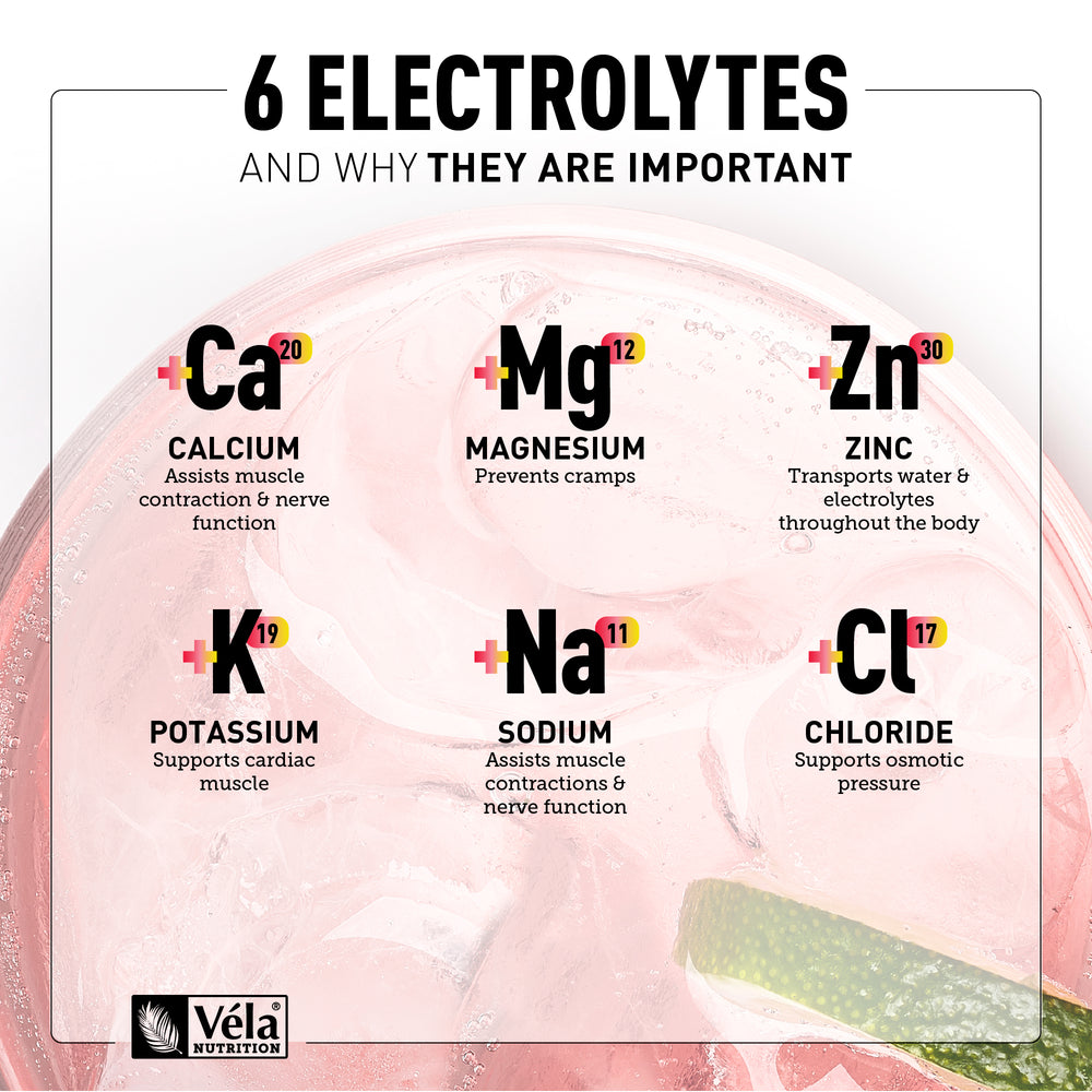 Electrolyte Powder + Energy – Zeal